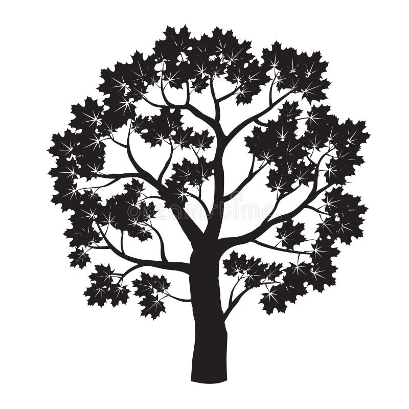 Black Maple Tree. Vector Illustration. Stock Illustration ...