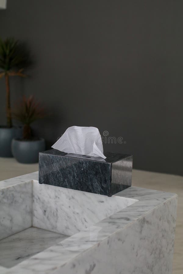 Black Marble Tissue Box with White Paper Tissues. Loft Style Bathroom ...