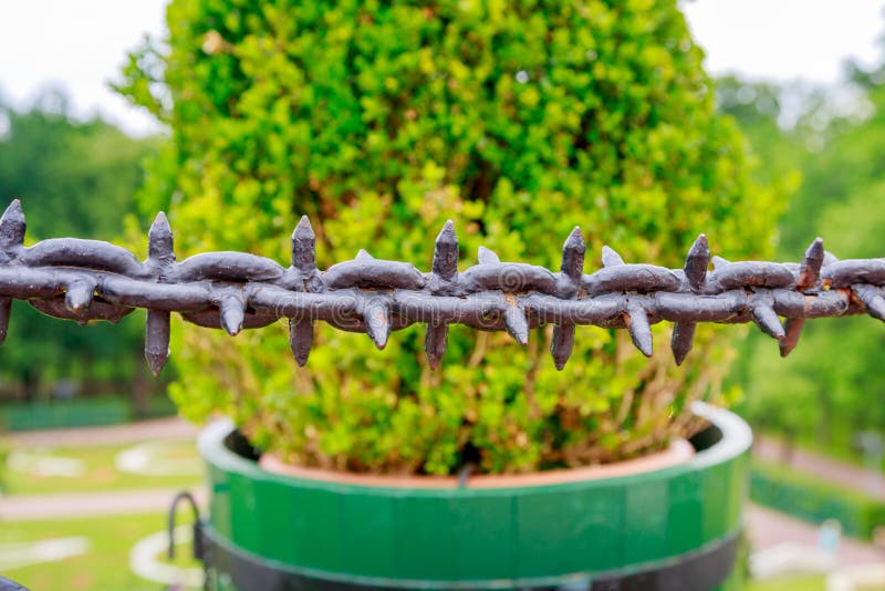 Spikes on Chain Link Fence stock image. Image of chainlink - 13920441