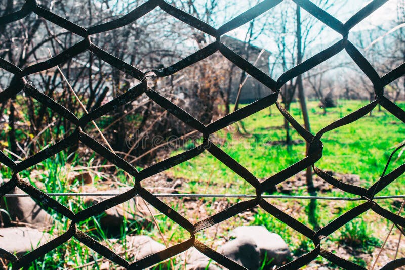 Black Mesh on a Background of Green Grass Stock Photo - Image of ...