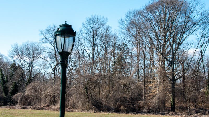 A Black Metal Light Post in a Large Field Stock Image - Image of aged ...