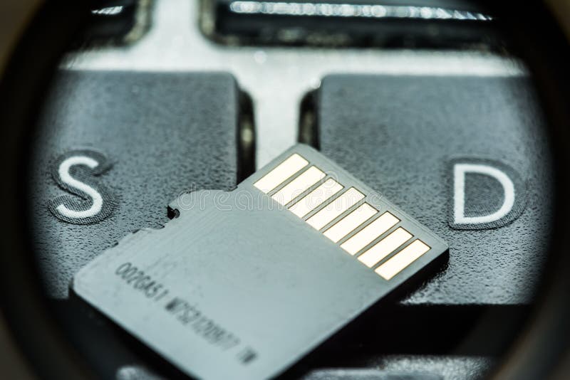 Black Micro Sd Card with Gold Contacts on the Key with the Letter S and ...