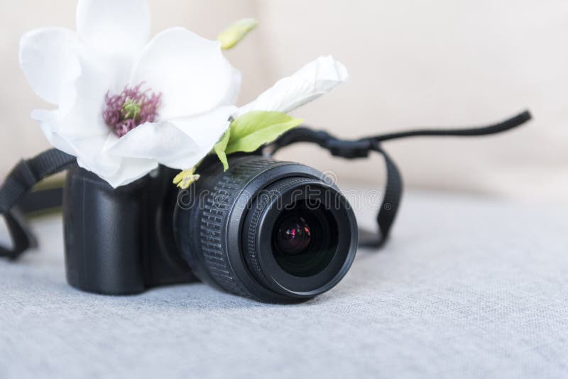 1,503 Camera Lens Flowers Stock Photos - Free & Royalty-Free Stock ...