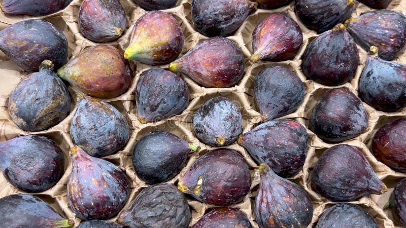 Tracking Shot on Black Figs As Full Frame Background Stock Footage ...