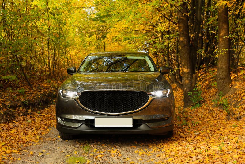 Black Modern Car Parked in Beautiful Autumn Forest Stock Photo - Image ...