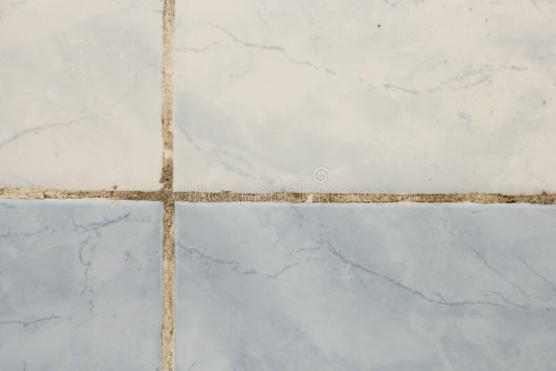 Black Mold Ceramic Tile Seam Stock Photos - Free & Royalty-Free Stock ...