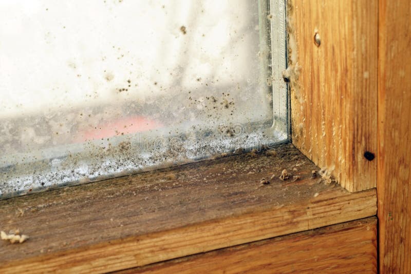 Window Framea Stock Photos - Free & Royalty-Free Stock Photos from ...