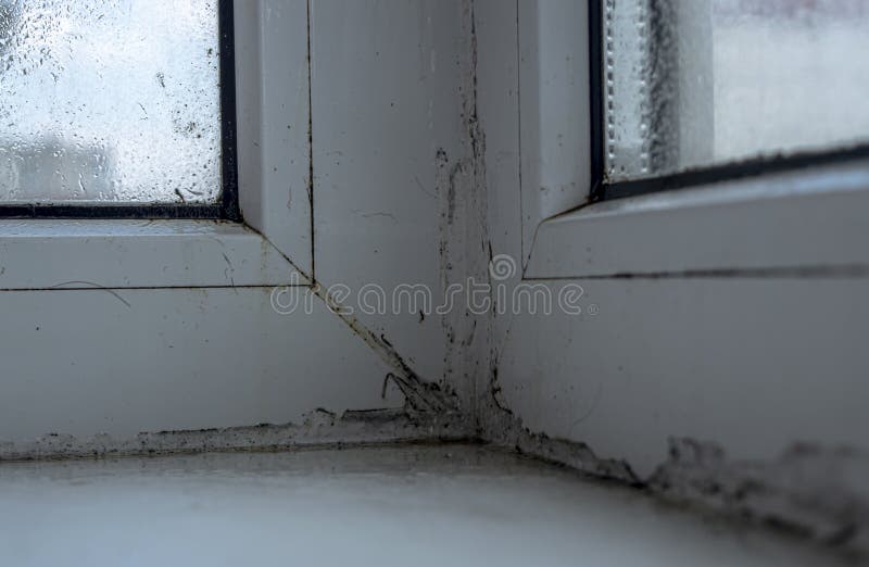 Black Mold on a Plastic White Window Close Up Stock Photo - Image of ...