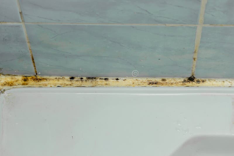 Proplasm Stock Photos - Free & Royalty-Free Stock Photos from Dreamstime