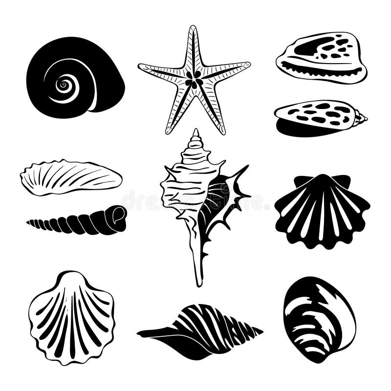 Spiral Seashell Silhouette Stock Illustrations – 3,516 Spiral Seashell ...
