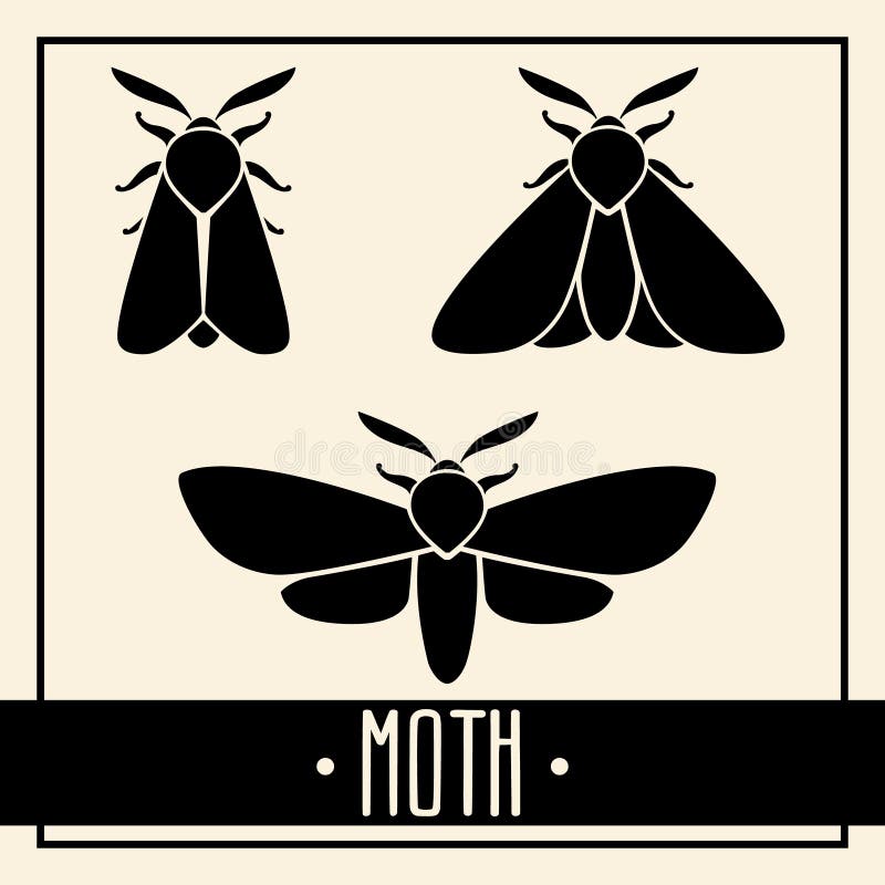 Black Moths Seamless Pattern Illustration Stock Illustration ...