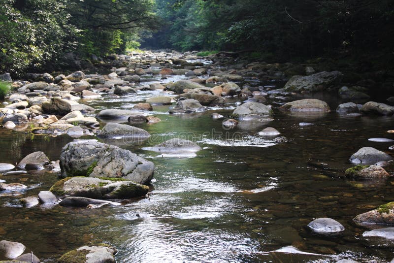 Black Mountain Stream stock photo. Image of wilderness - 91747918