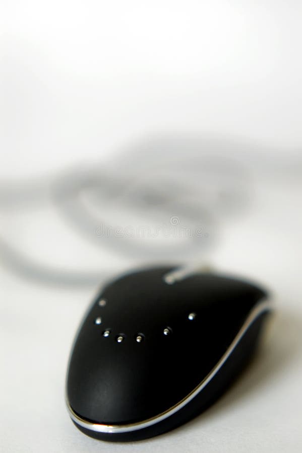 Black mouse stock photo. Image of rodent, research, genetics - 22305808