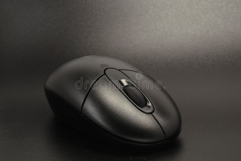 Black Mouse Picture. Image: 4441371