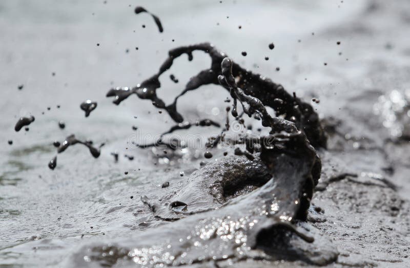 Black mud stock photo. Image of fish, belalang, focus - 105106700