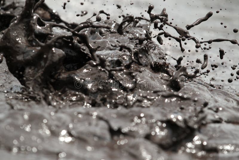 Black mud stock photo. Image of blur, leucocephala, decorative - 105106880