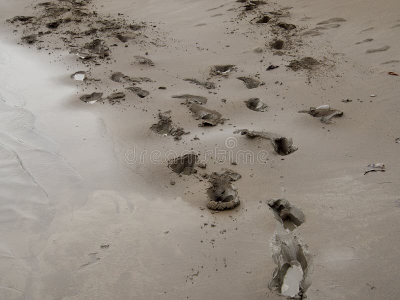 Black mud stock photo. Image of coast, pants, marsh, mire - 52594004