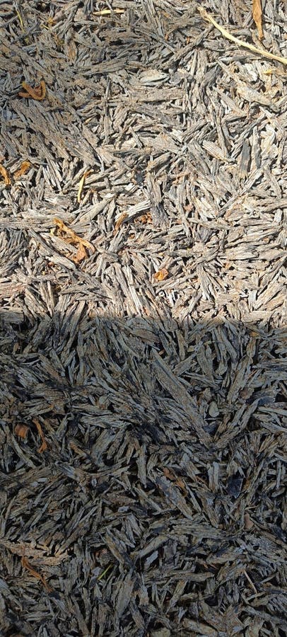 Black Mulch Texture Generative AI Stock Image - Image of gardening ...