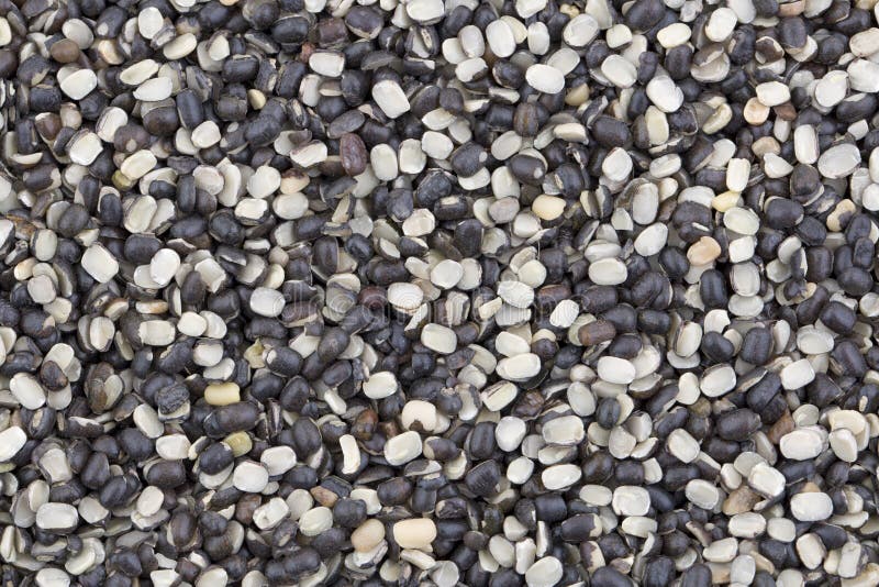 1,990 Mung Bean Split Stock Photos - Free & Royalty-Free Stock Photos ...