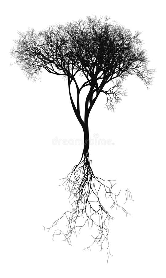 Black Naturalistic Bare Tree with Root System - Vector Illustration ...