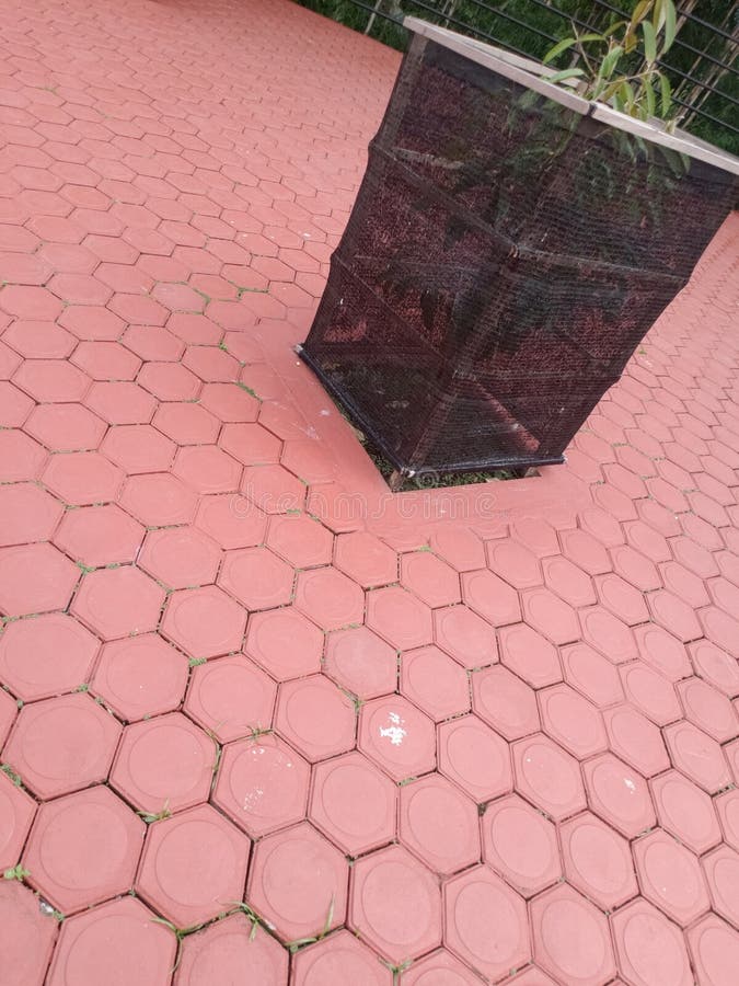 Black Net Covering Over a Plant on Hexagon Shaped Pavement Stock Photo ...