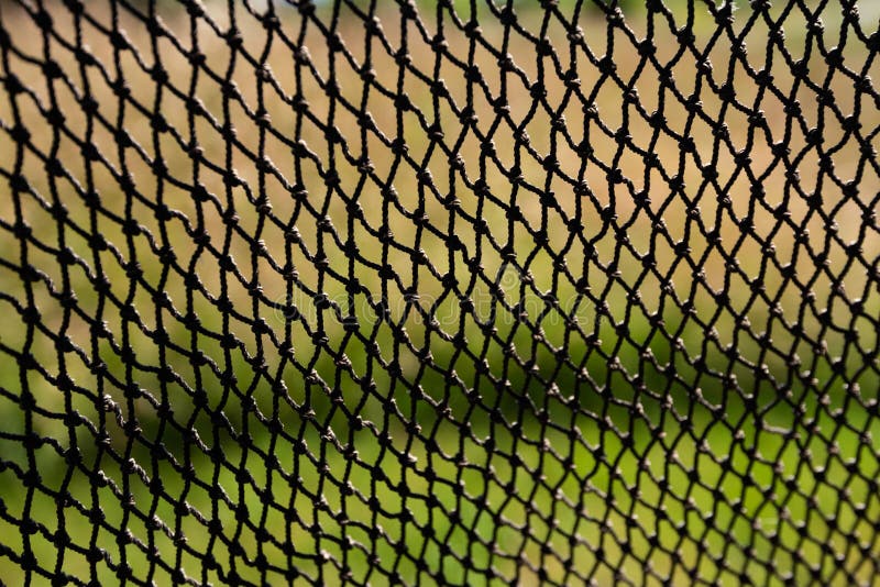 Black Net Hanging in Front of Tall, Green Grass Stock Photo - Image of ...