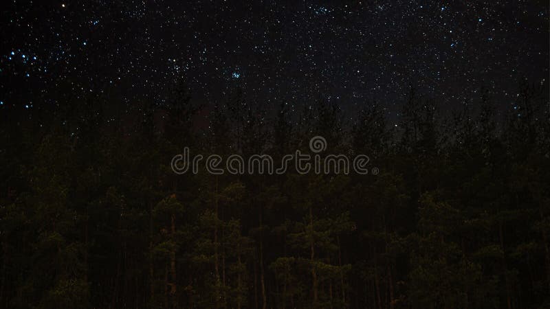 Black night sky and stars stock photo. Image of celestial - 300100600