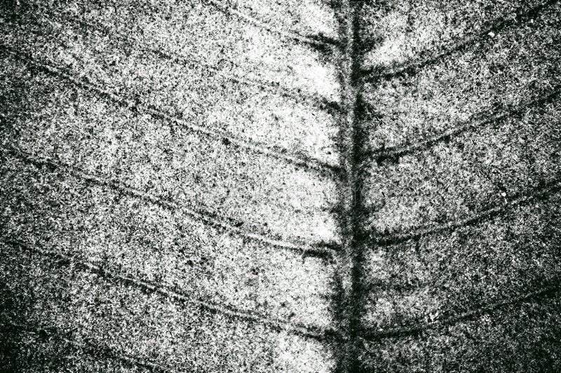 Black Noise Pattern Background Stock Illustration - Illustration of ...