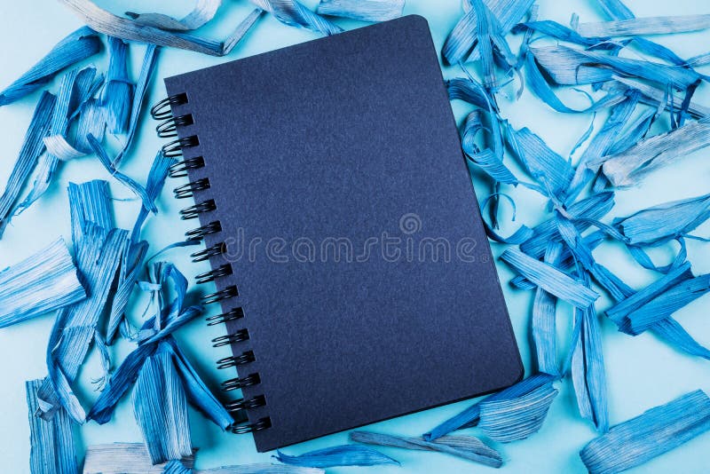 Black Notepad on a Blue Background Surrounded by Dry Plants. Minimalism ...