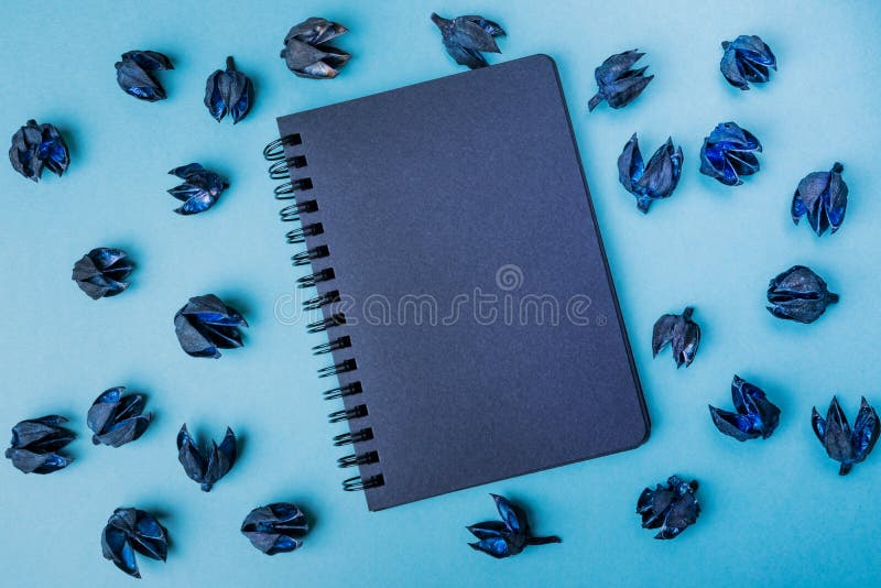 Black Notepad on a Blue Background Surrounded by Dry Plants. Minimalism ...