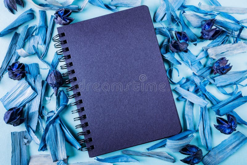 Black Notepad on a Blue Background Surrounded by Dry Plants. Minimalism ...