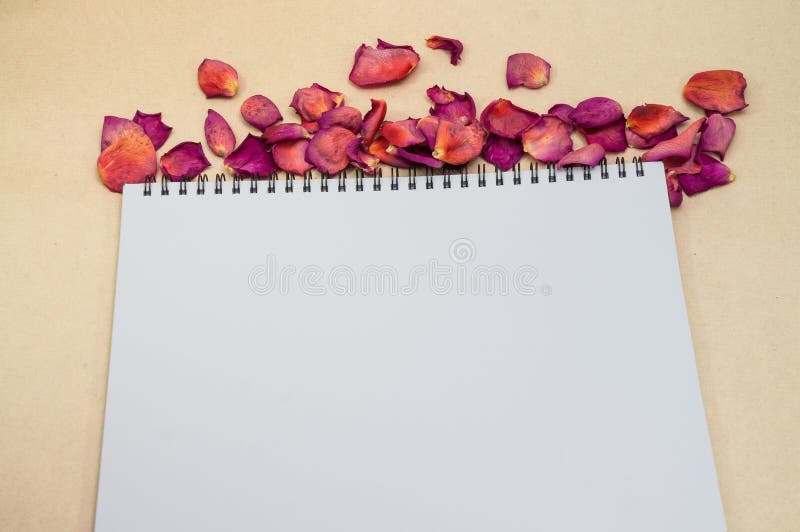 Black Notepad. Realistic Template Notebook. Blank Cover Design. Stock ... Black Notepad. Realistic Template Notebook. Blank Cover Design. Stock ...