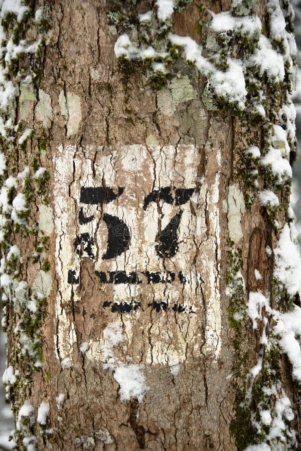 Parallel Lines On A Tree