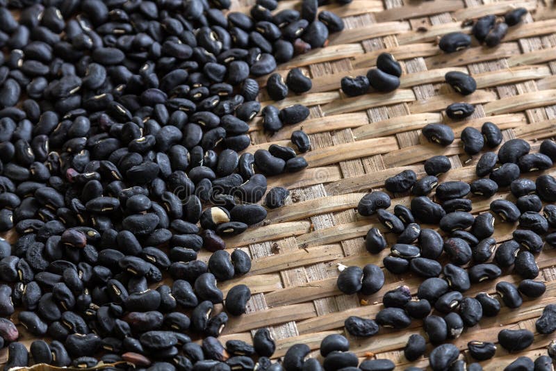 Black nut stock image. Image of macro, bean, organic - 35422077
