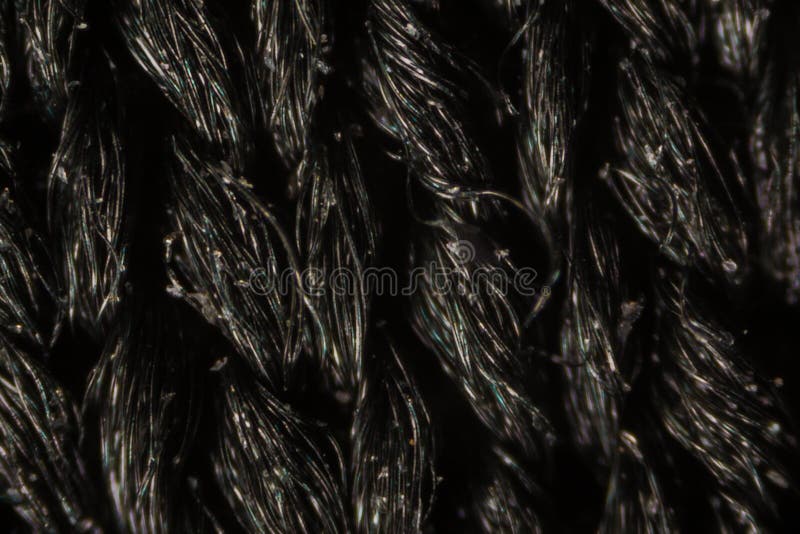Black Nylon Mesh Cloth Fibers Under the Microscope Stock Image - Image ...