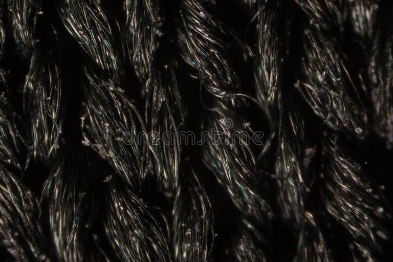 Black Nylon Mesh Cloth Fibers Under the Microscope Stock Image - Image ...