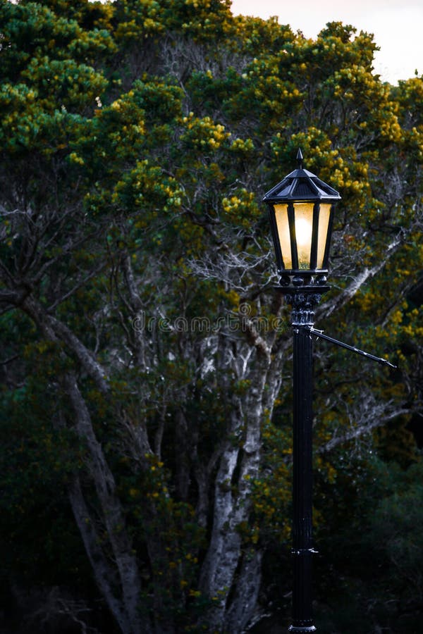Old-fashioned lamp post stock photo. Image of design - 75564102