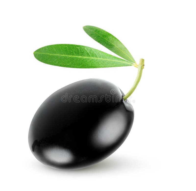 Black olives stock photo. Image of macro, white, organic - 19783330