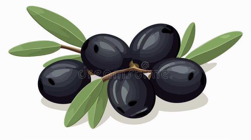 Black Olive Drawing stock vector. Illustration of cartoon - 345279861