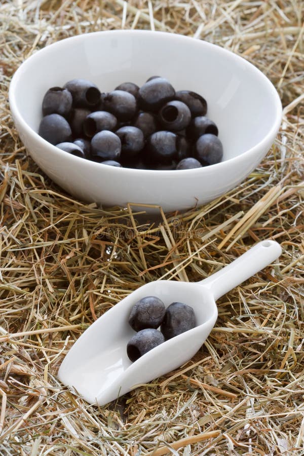 Black Olives stock photo. Image of straw, studio, vegetarian - 19436190