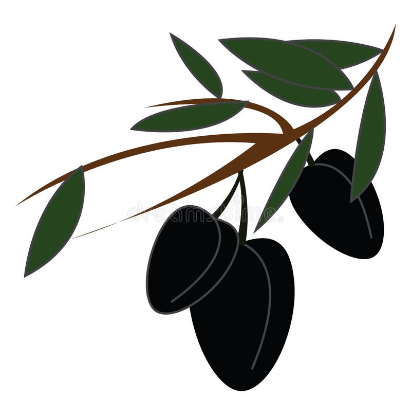 Black Olives, Vector or Color Illustration Stock Vector - Illustration ...