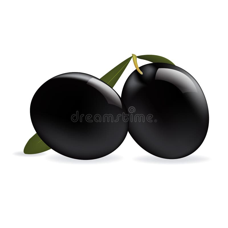 Black Olives stock vector. Illustration of dressing - 195662302
