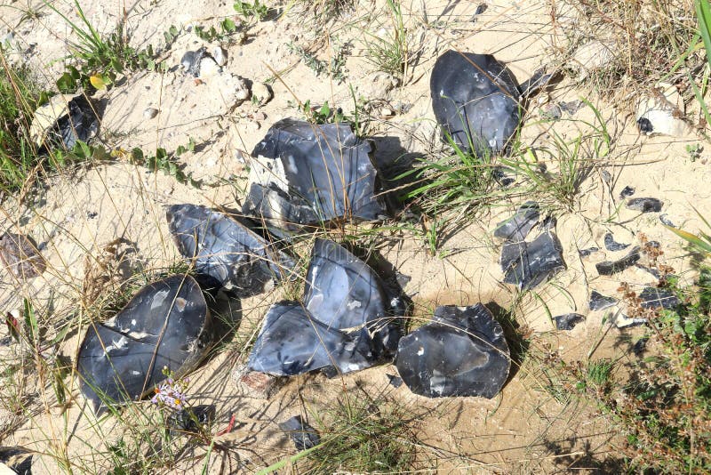 Black Opalized Flintstone at Danish Coast Stock Image - Image of nature ...