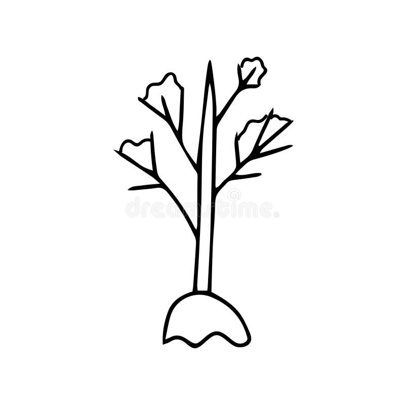 Deciduous Outline Stock Illustrations – 3,766 Deciduous Outline Stock ...
