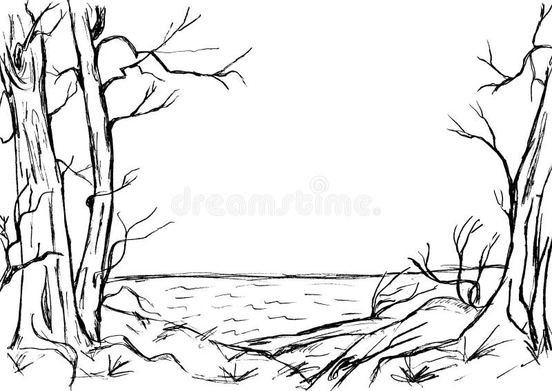 Black Outline of Tree Trunks and Branches on a White Background Stock ...