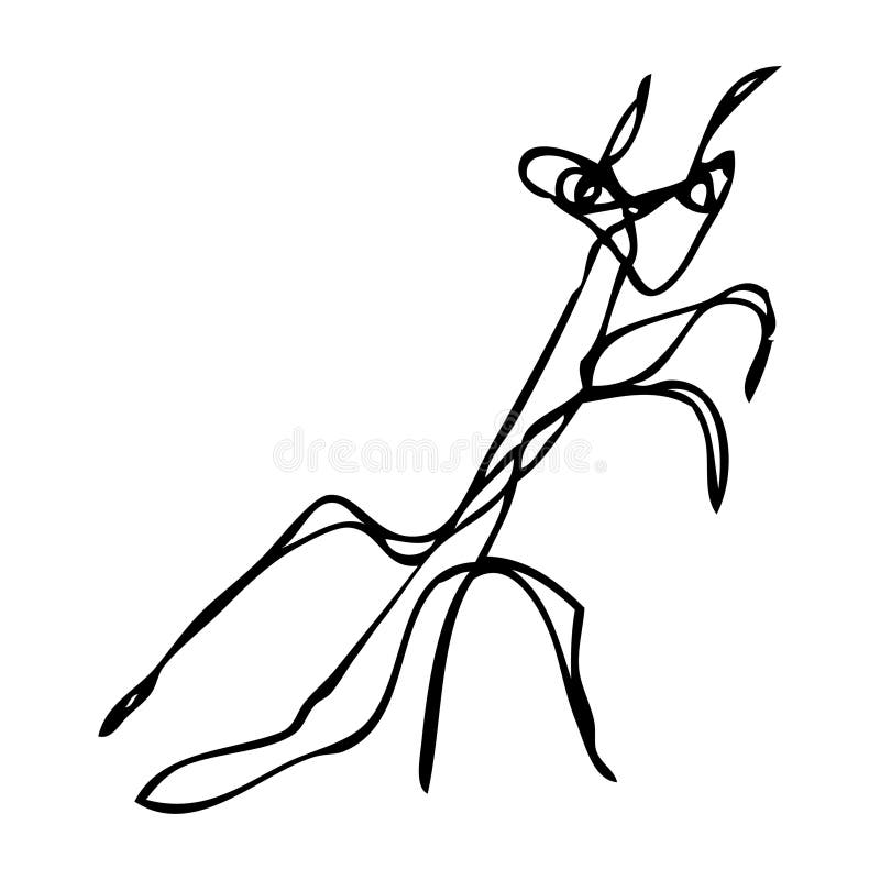 Black Outline Vector Sketch of Mantis Stock Vector - Illustration of ...