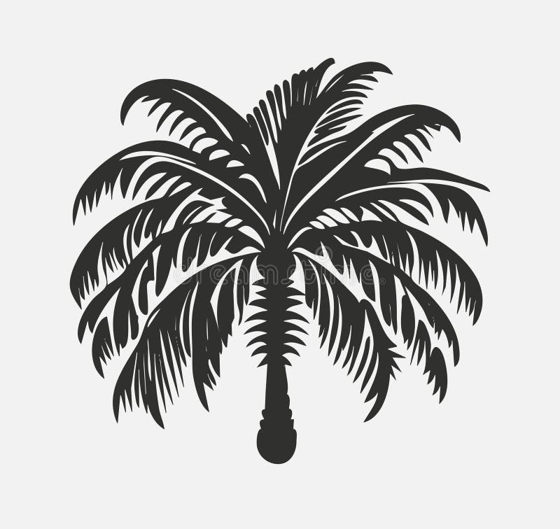 Palm Oil Tree Drawing