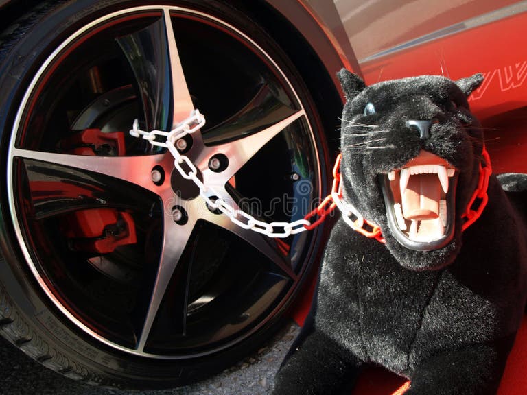 Black panther stock image. Image of growl, beware, aluminium - 23884243