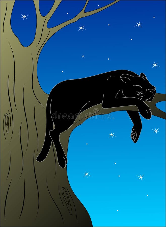 Panther In A Tree Drawing