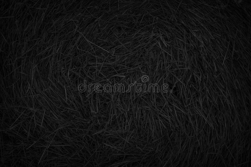 Black Pattern, Texture Hay. Black Stack Stock Photo - Image of pattern ...